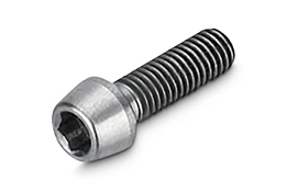 Sraigtas, ant vairo Newmen Hex M5x16 TL10.5, titanas, sidabro kainos ...